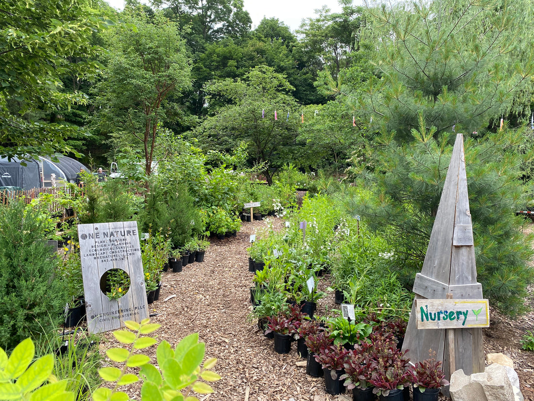 One Nature Plant Nursery